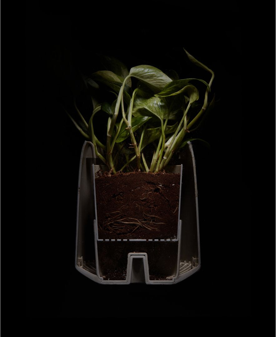 Neoplants - The Future of Plants