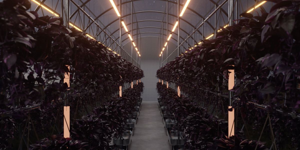 Neoplants - The Future of Plants