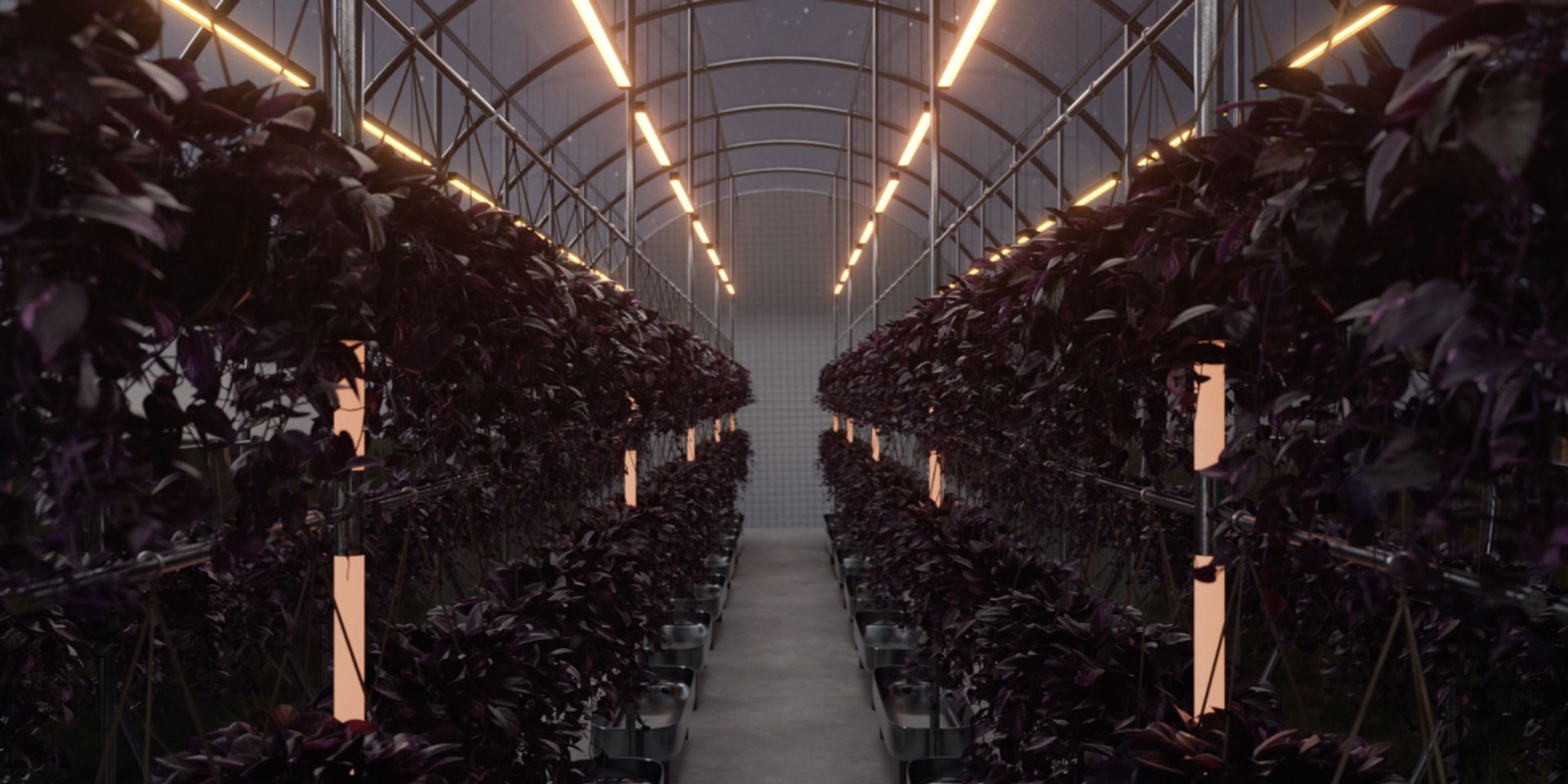 Neoplants - The Future of Plants