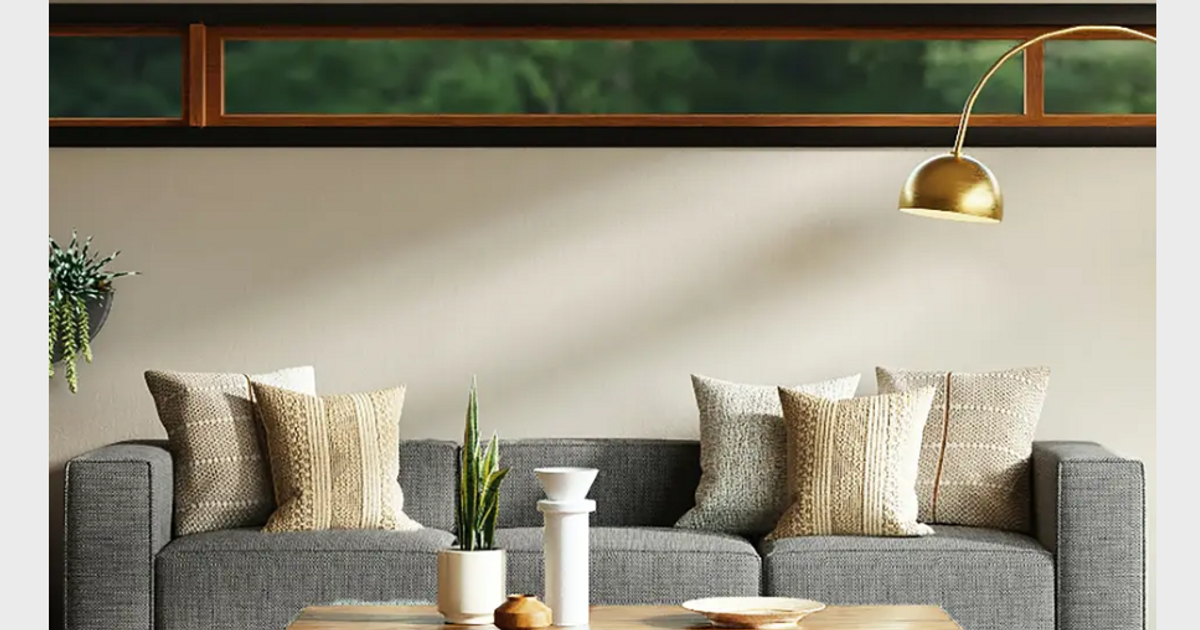 Neoplants What Is Indoor Ambient Air Pollution And How Do You Avoid It neoplants-what-is-indoor-ambient-air-pollution-and-how-do-you-avoid-it