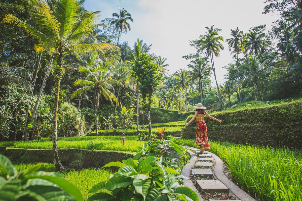What Does Bali’s Proposed “Development Ban” Mean?