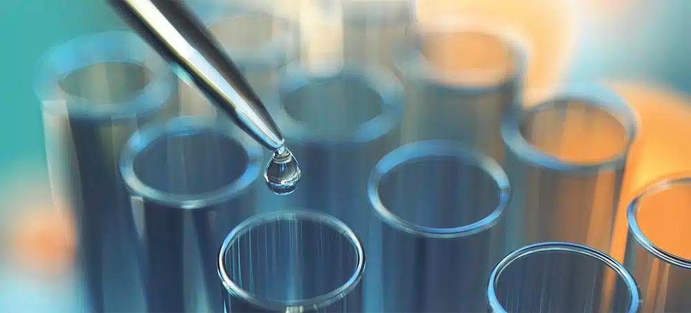 Momentum Magazine: An MS Publication | National MS Society