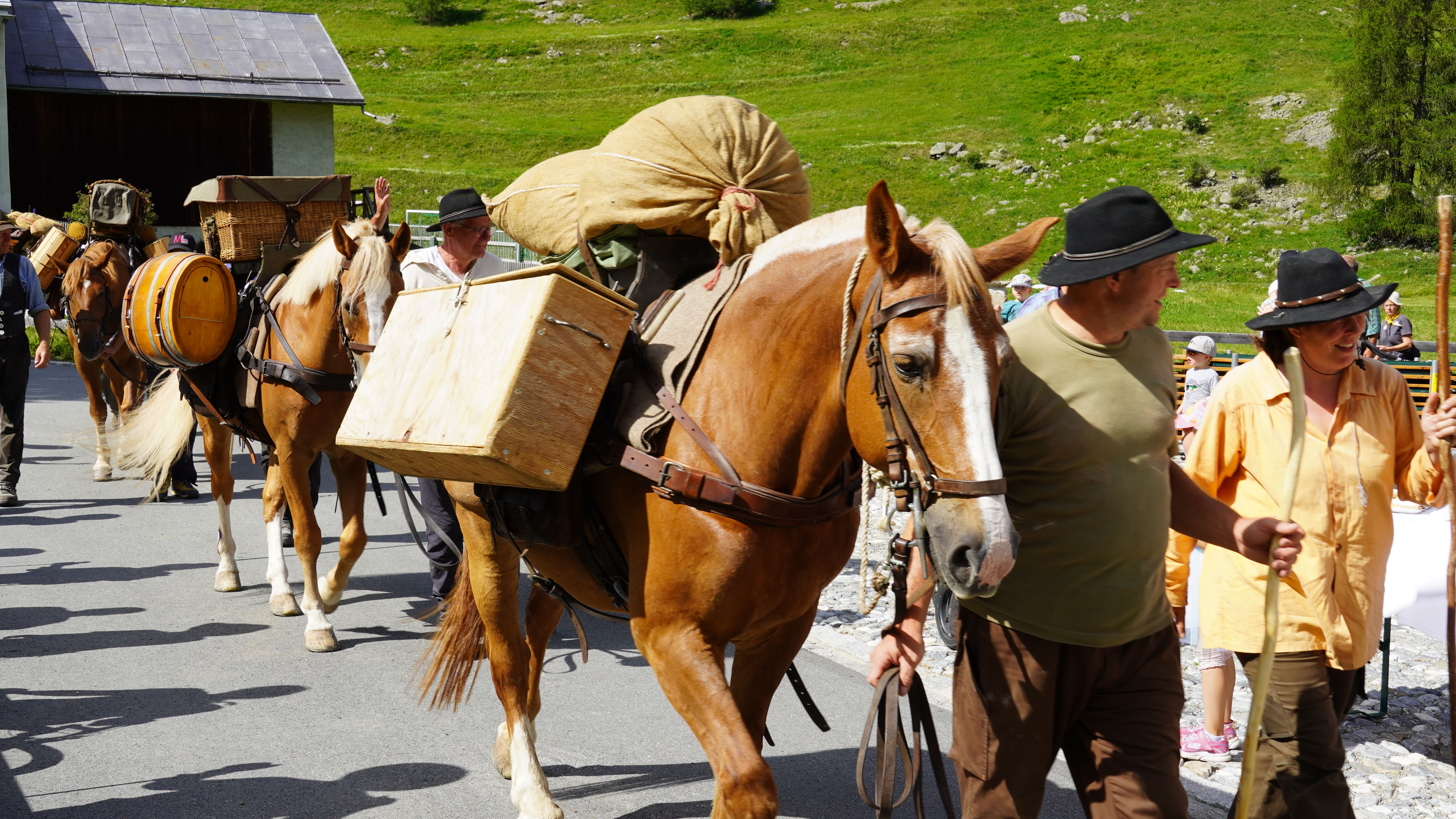 S-chanf: Activities, hotels & more | Engadin, Switzerland