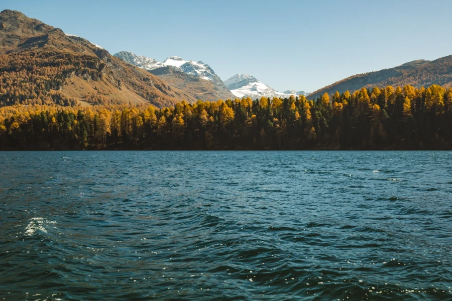 40 Favourites for the Golden Season