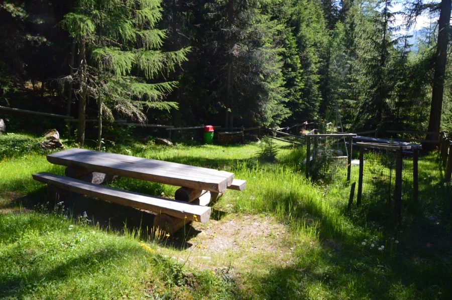 Fire pit forest trail