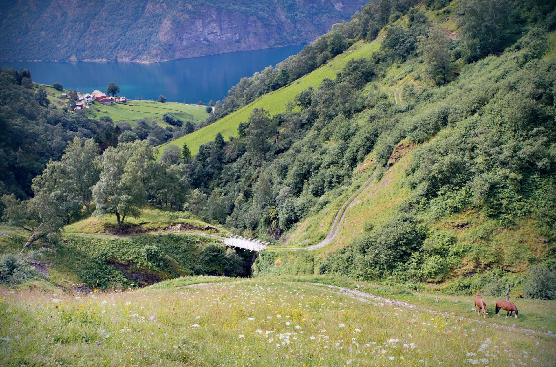The taste of Flåm – A food guide | Norway’s best
