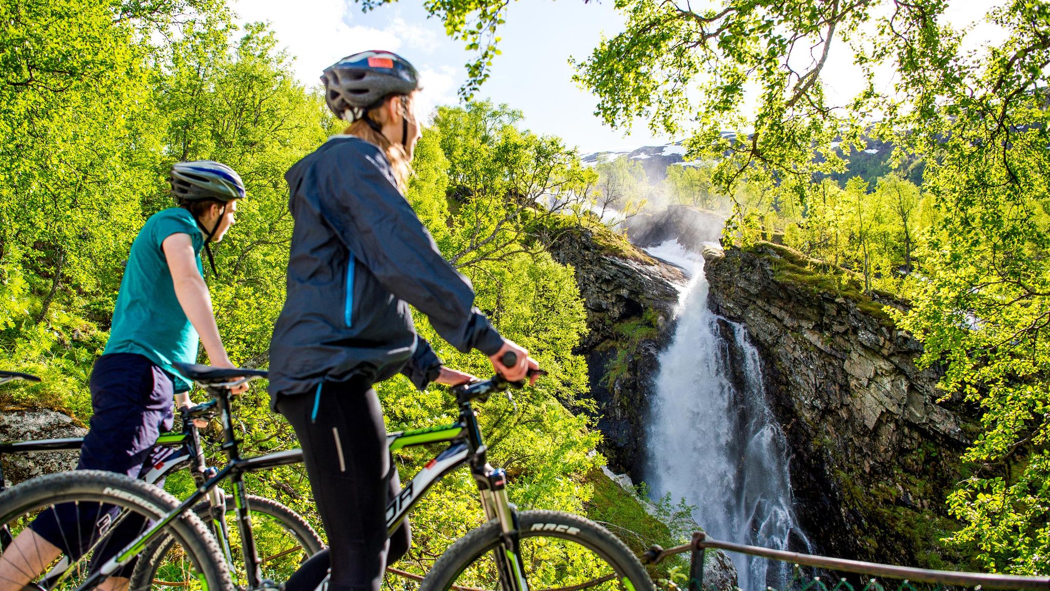 Flåm sykkelutleie | Norway’s best