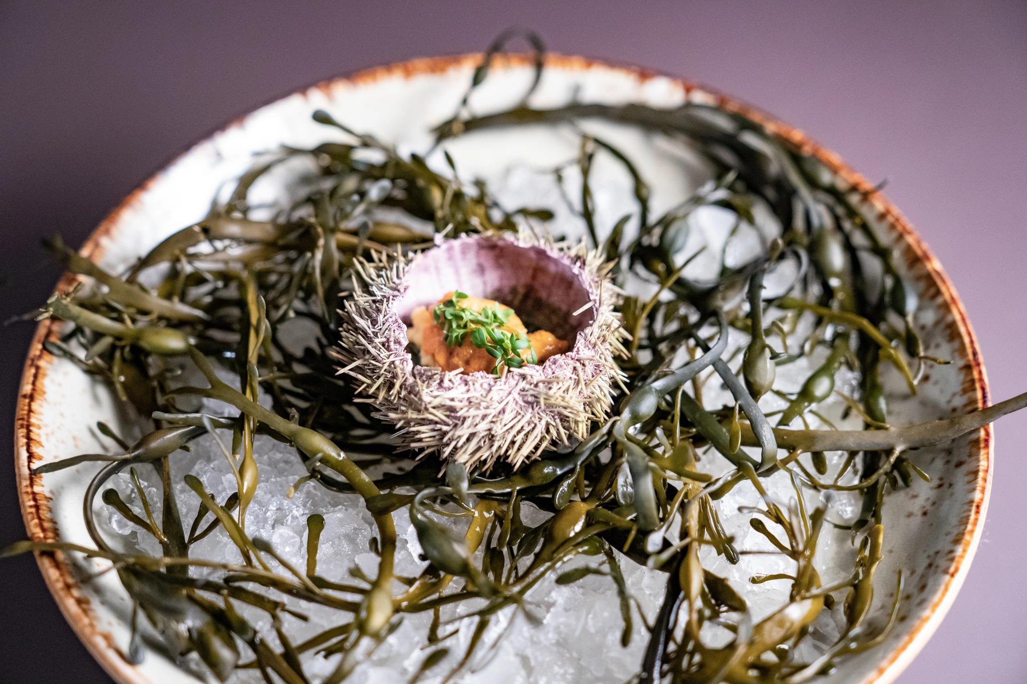 Food Philosophy at Fretheim hotel | Norway’s best
