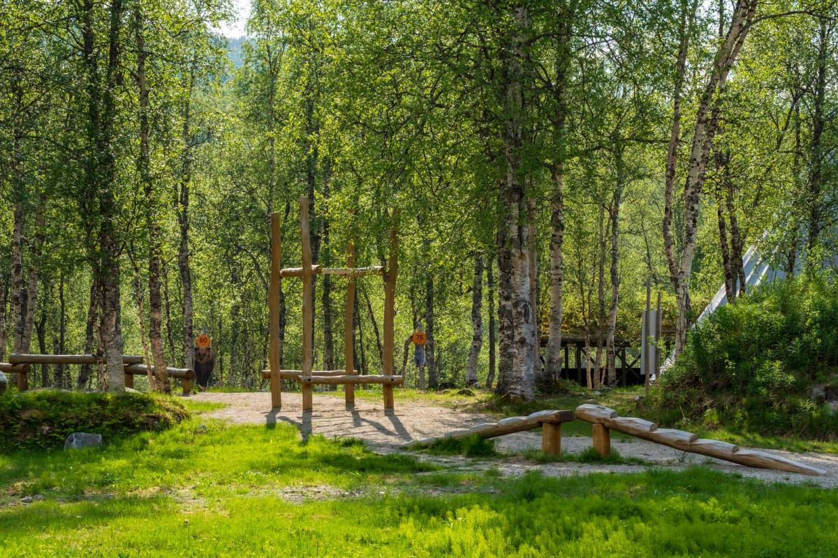 Polar Park – the world’s northernmost animal park | Norway’s best