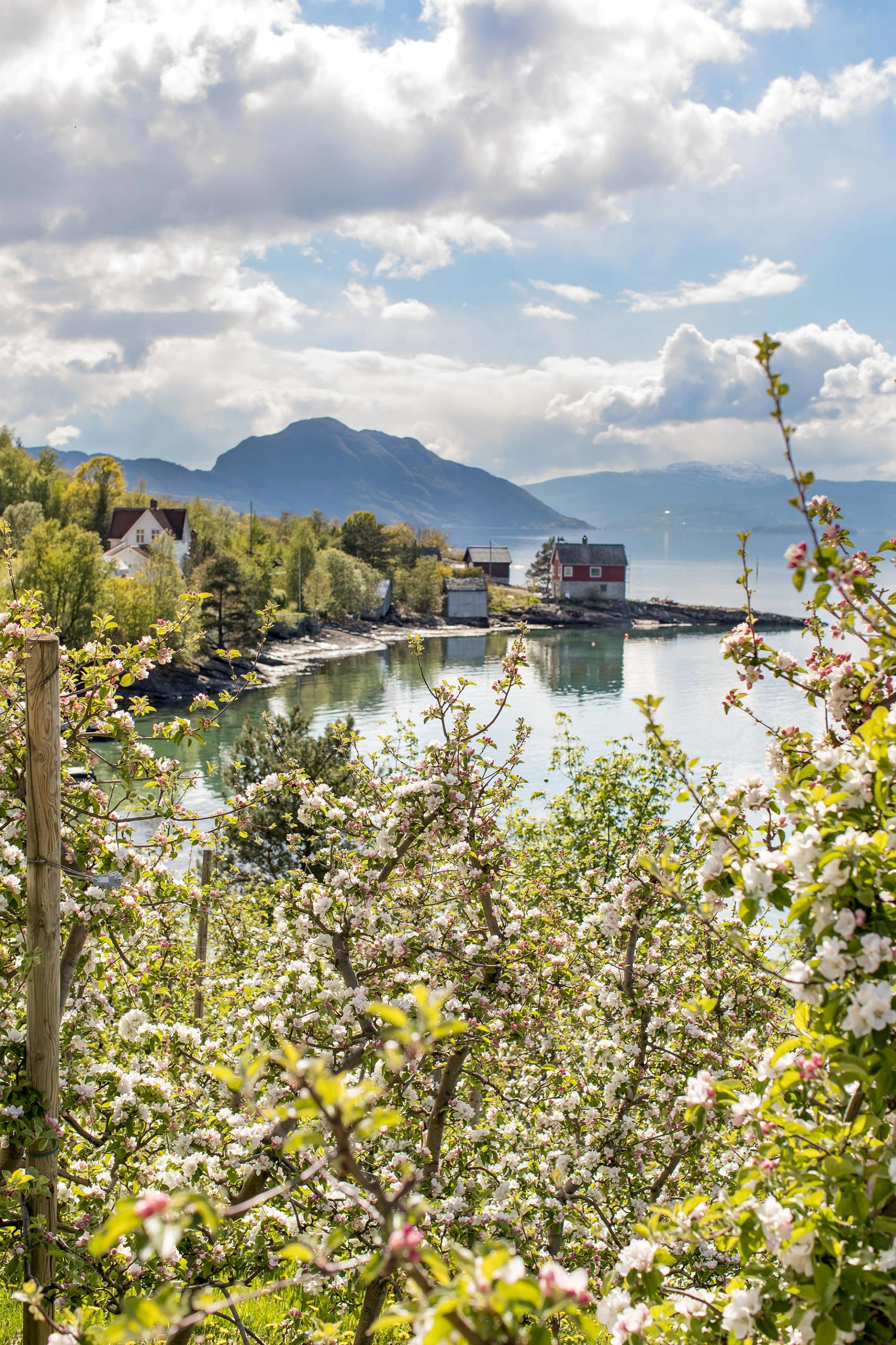 11 unique tips for your Norway bucket list | Norway’s best