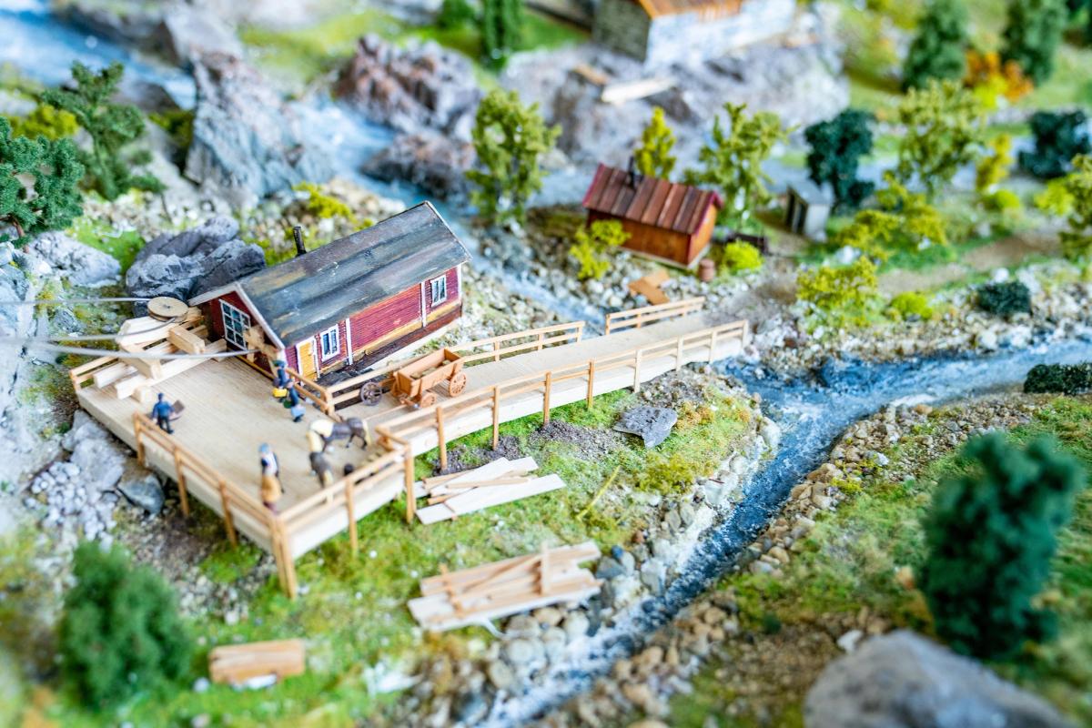 The Arctic Train – Die Ofoten-Linie | Norway’s best