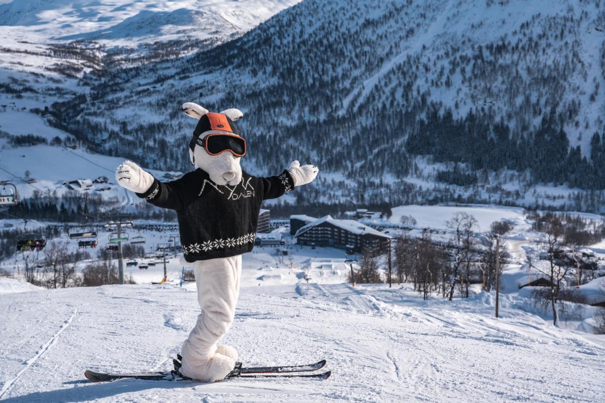 Meet Our Cool Friend, Finn the Hare – Myrkdalen | Norway’s best