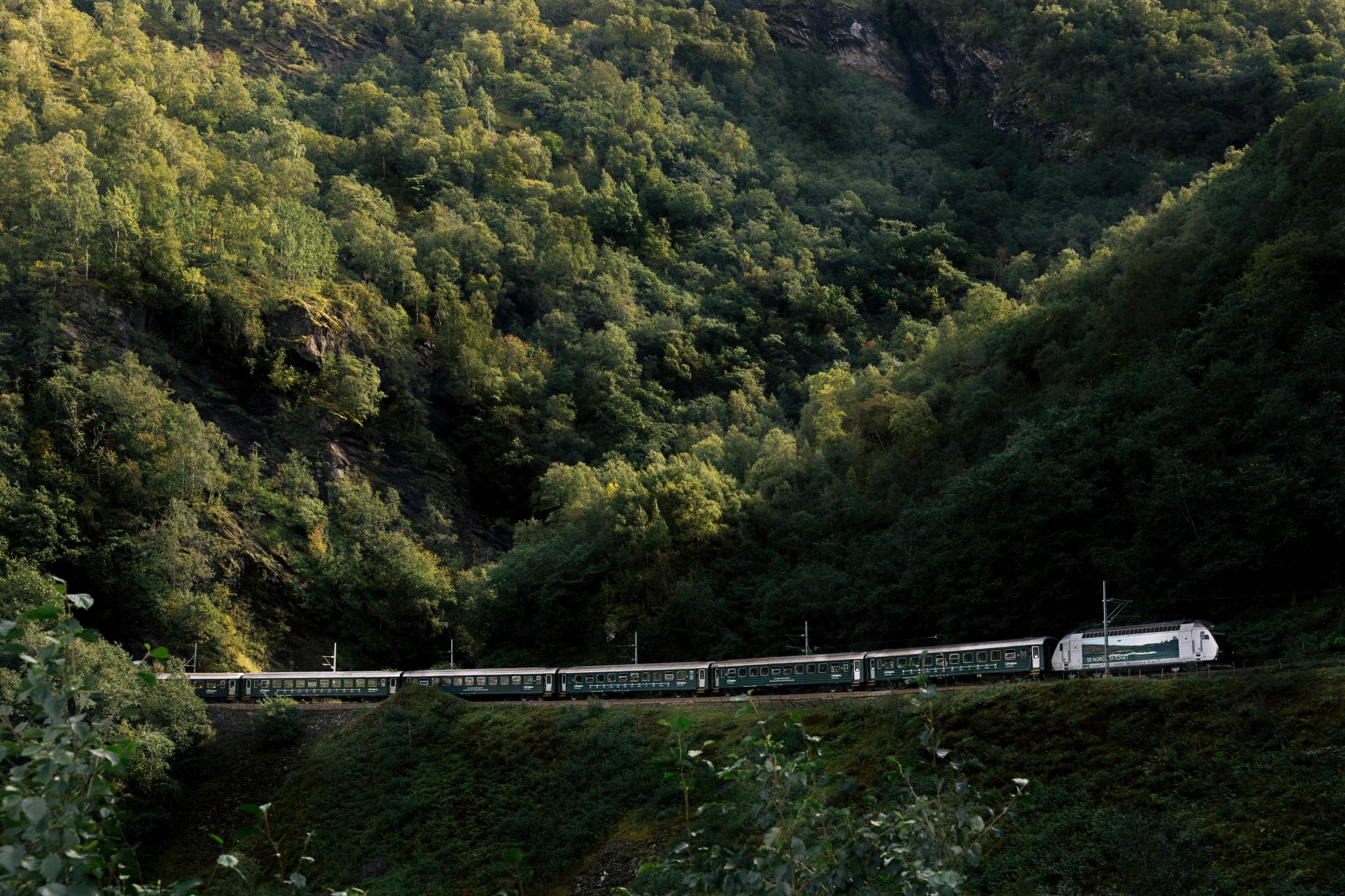 Réservez le train de Flåm | Norway’s best