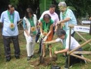 BAMBOO TREE PLANTING BAMBOO TREE PLANTING