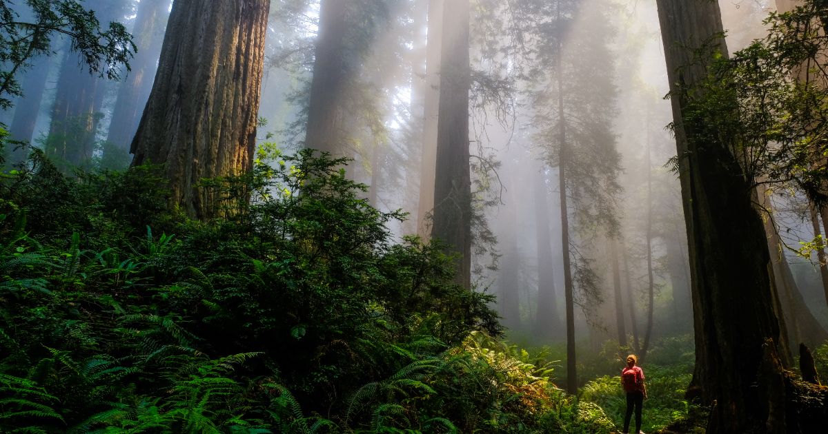 National Park Foundation