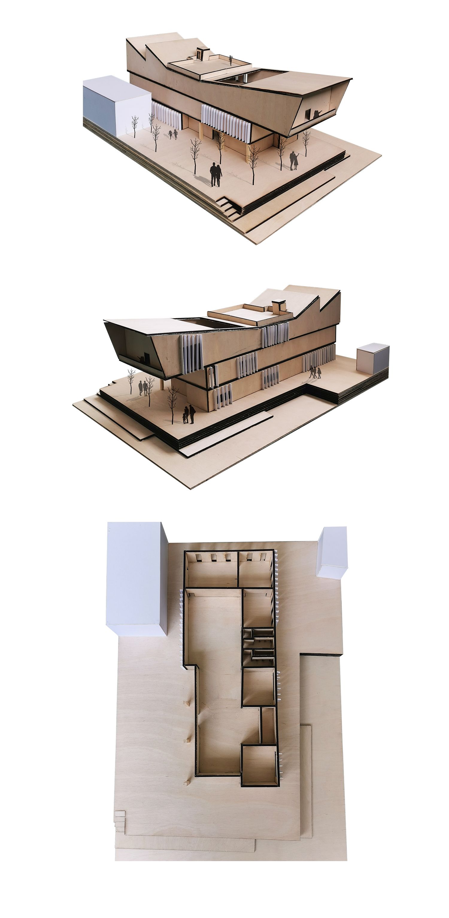 Daniel Crush Year 3 2022