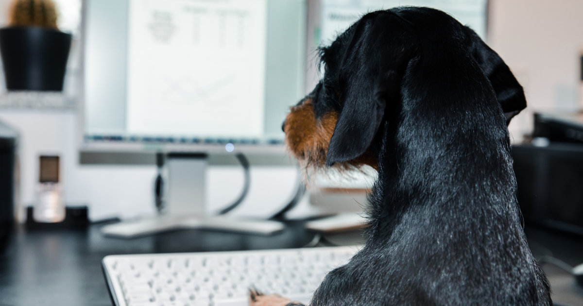 Dogfooding: How we use our Scheduler product internally | Cronofy ...