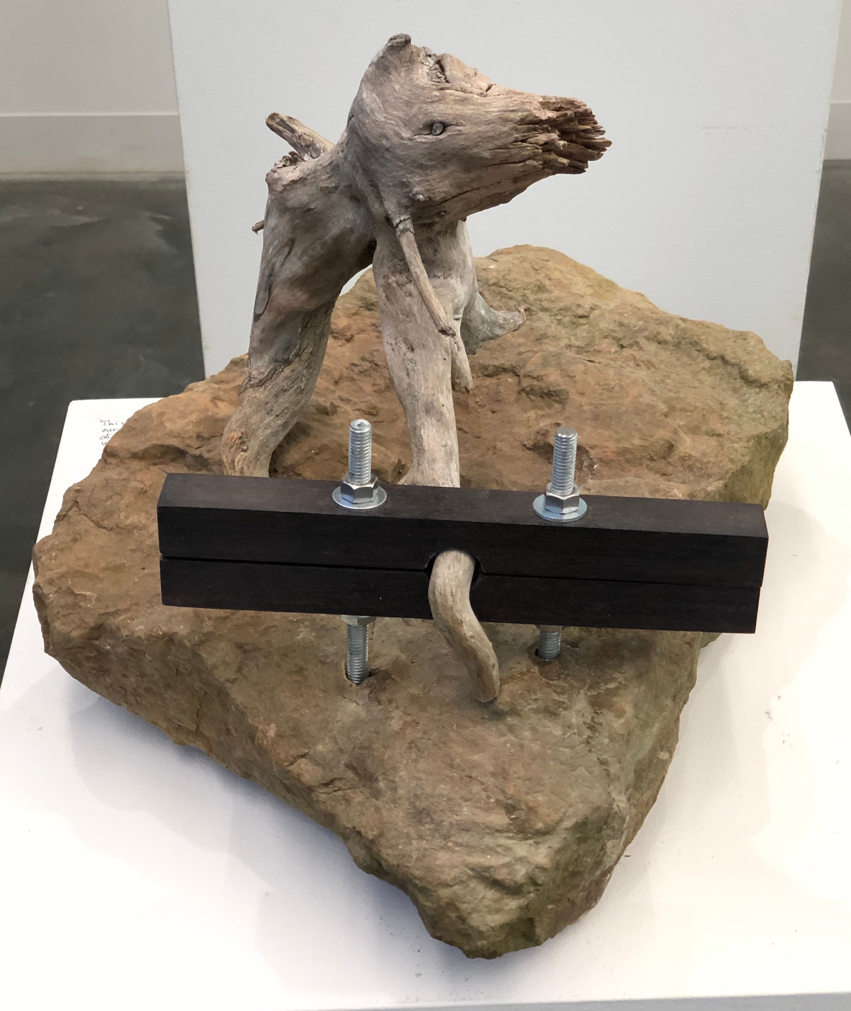 From the lodge with Daniel | Daniel Baxley, artist & creator