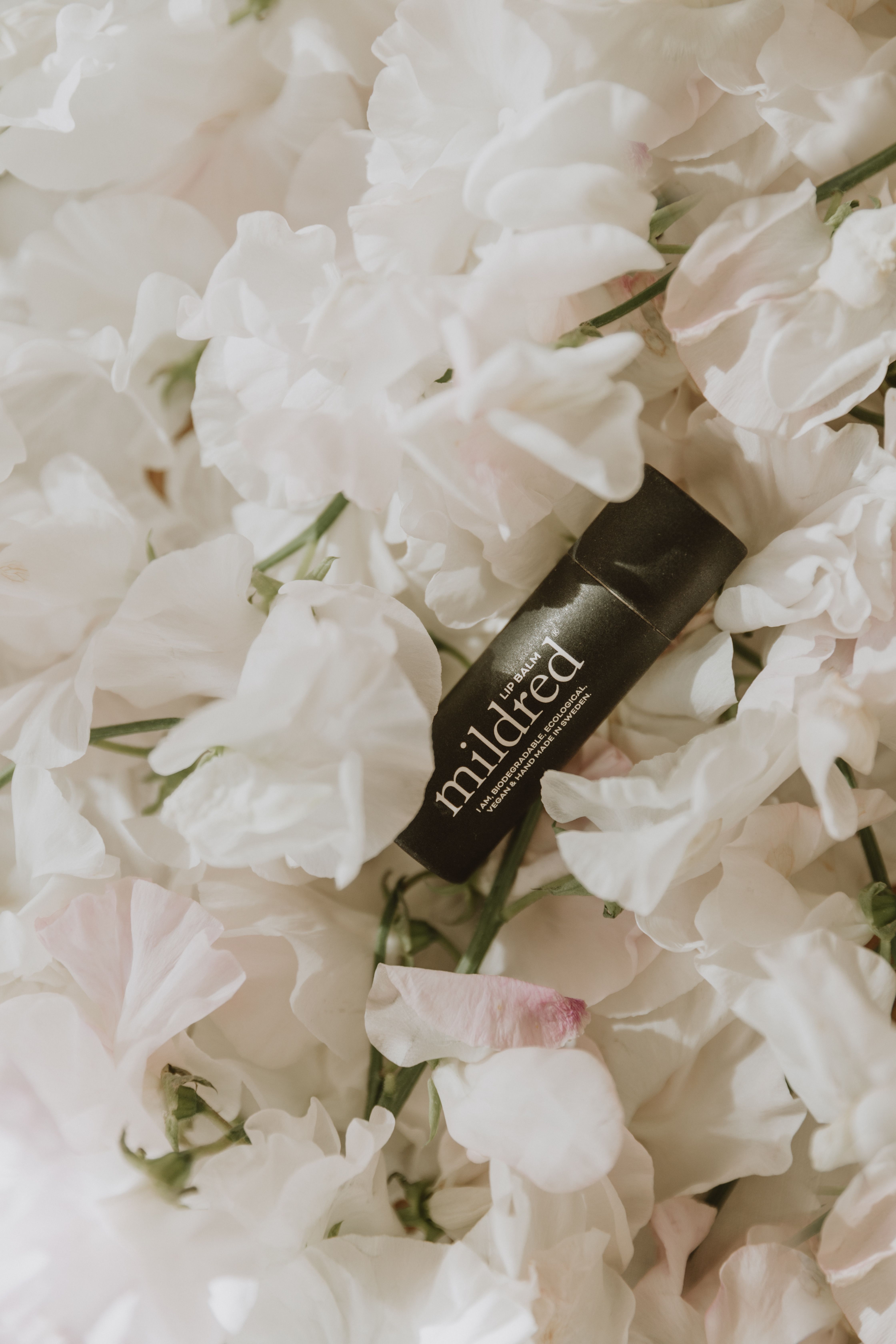 Caroline Borg – Stylist, storyteller and photographer