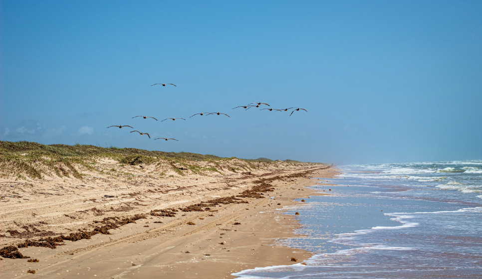 Why Bus to Corpus Christi? Hitch Rides as Low as $19 One Way