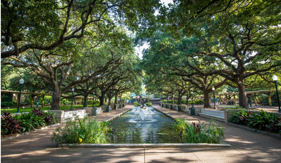 Why Bus to Houston? Hitch Rides as Low as $19 One Way