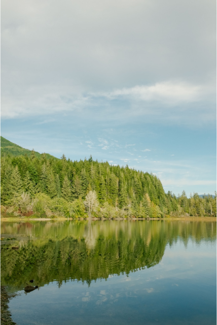 Campground | Pacheedaht First Nation