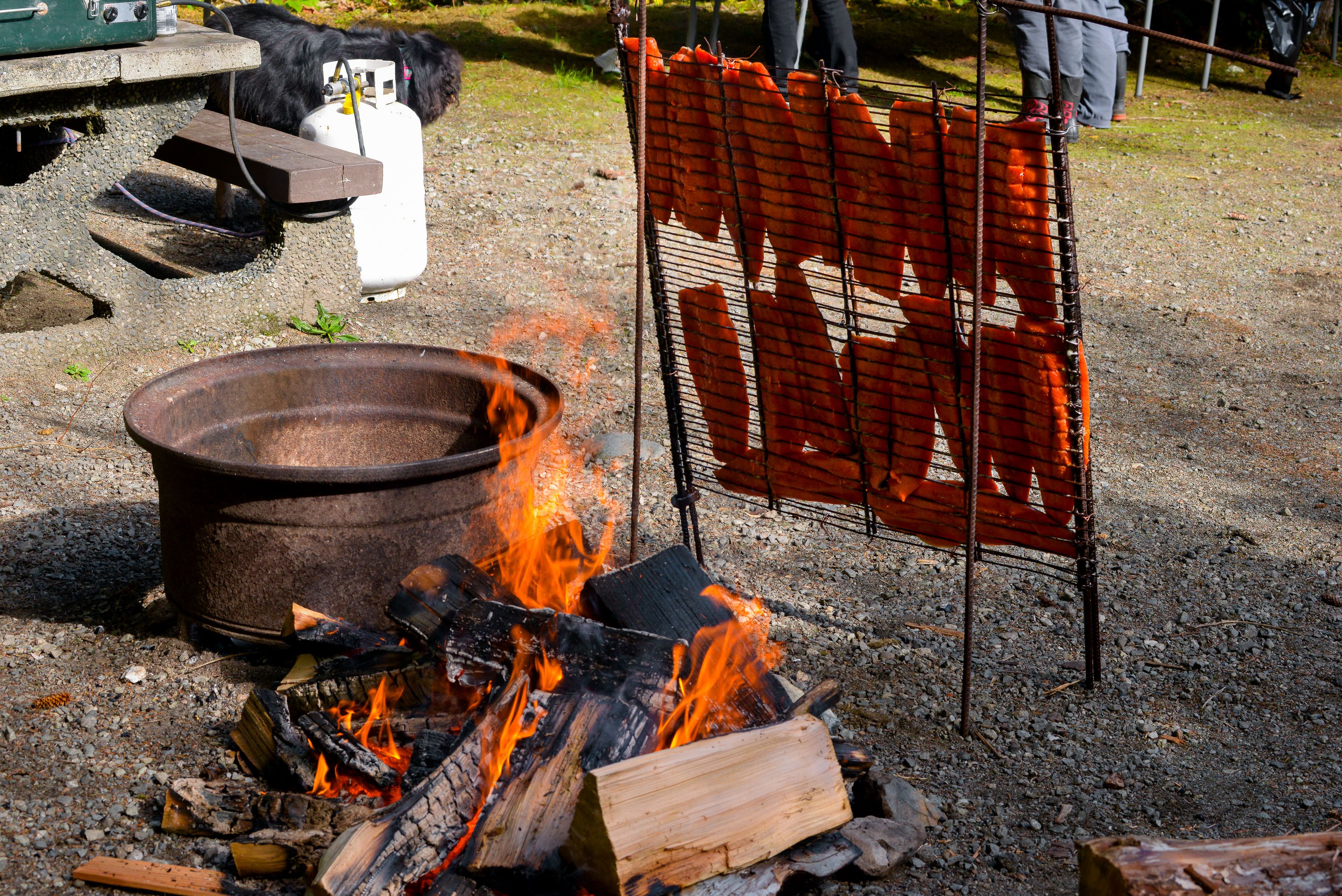 Experience our unforgettable campground, where invigorating salt air ...