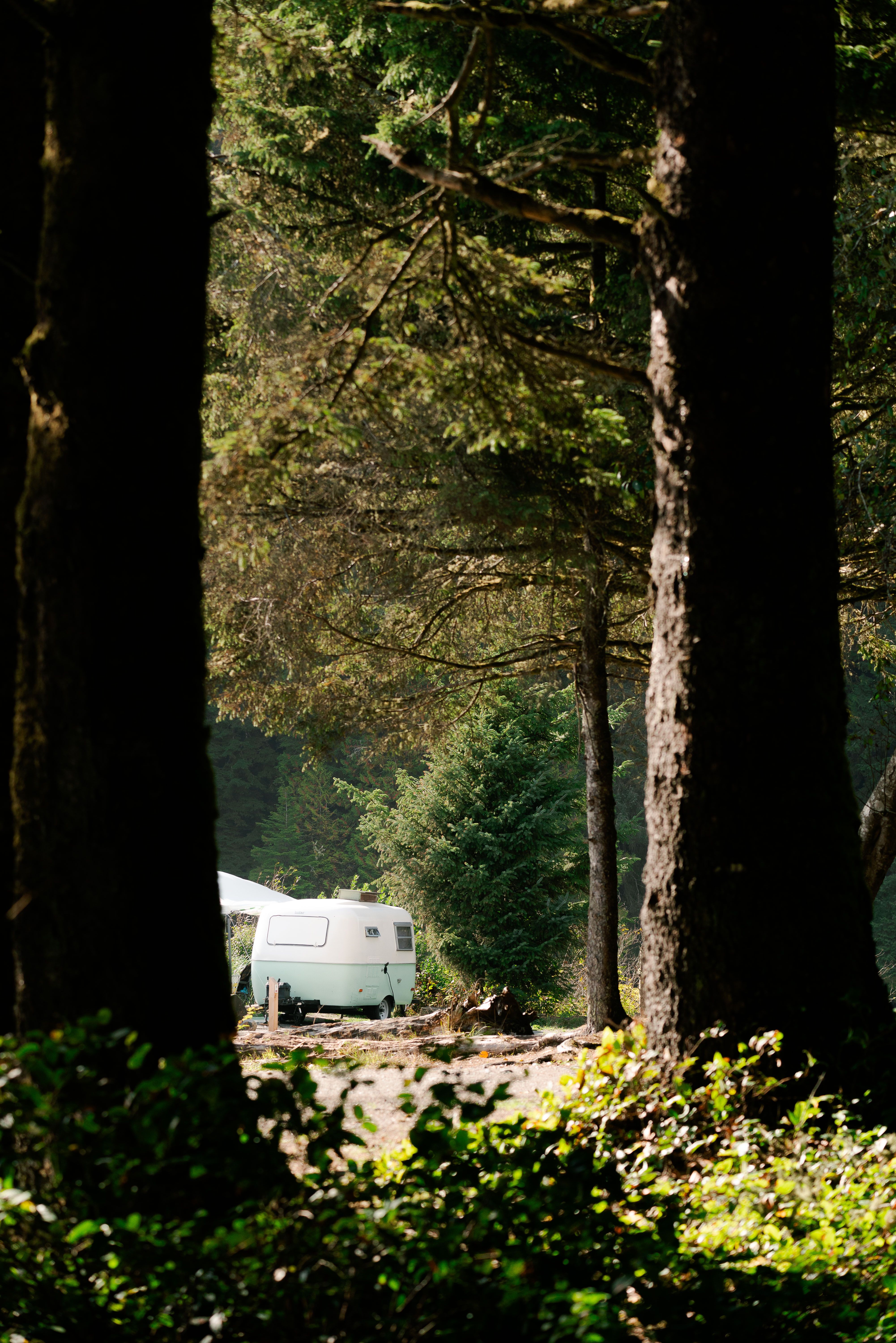 Experience our unforgettable campground, where invigorating salt air ...