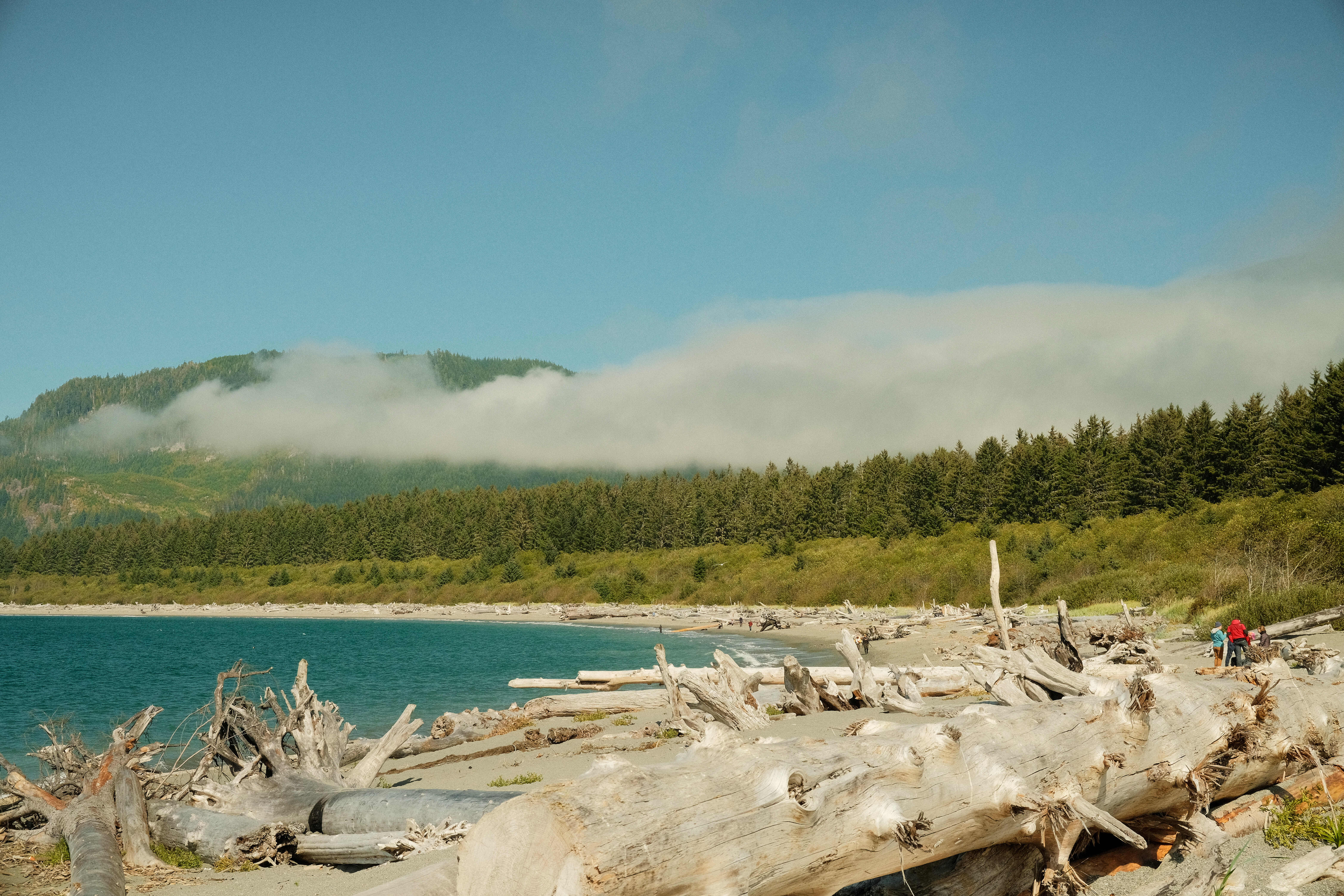 Campground | Pacheedaht First Nation