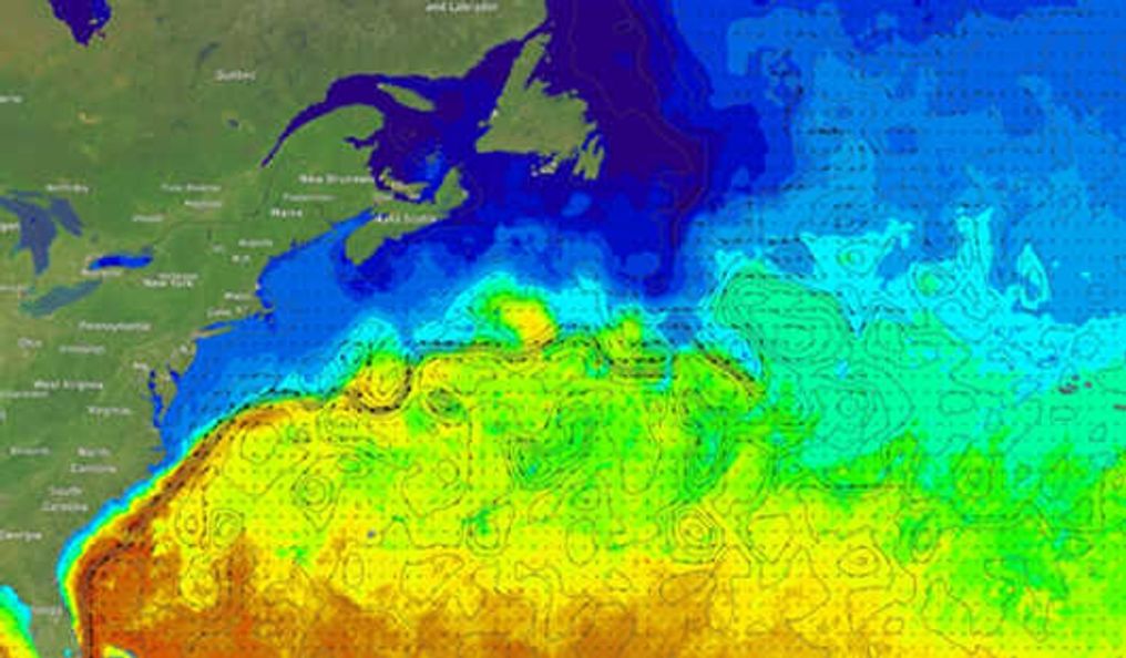 Tidetech Metocean Data | Veracity by DNV