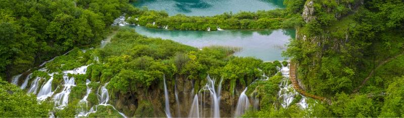 Integrated Biodiversity Assessment Tool - IBAT | Veracity by DNV