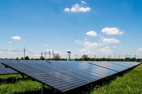 Synergi Electric | Veracity by DNV