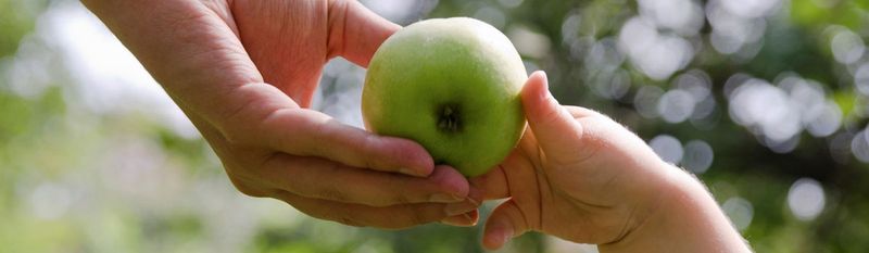 DNV SCAT – Systematic Cause Analysis Technique | Veracity by DNV