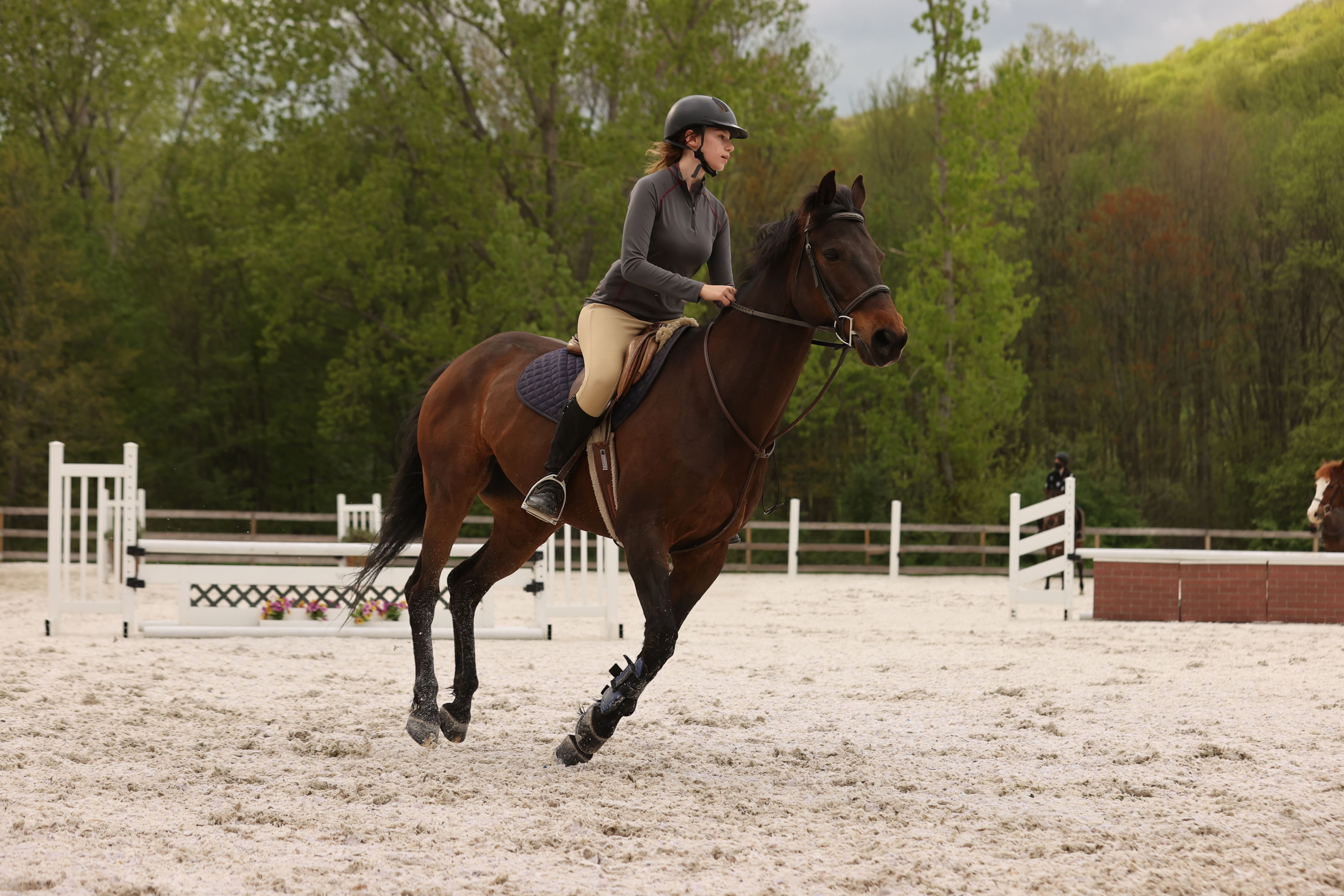 Fall Athletics | Miss Hall’s School