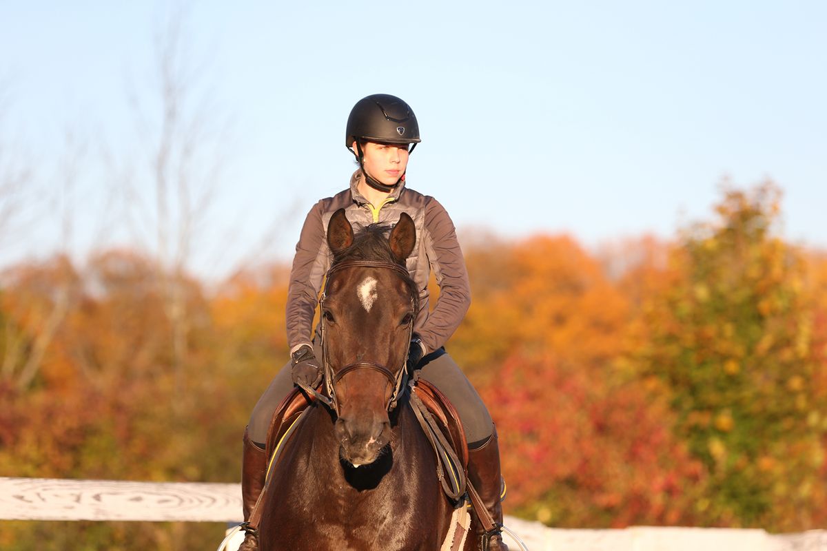 Equestrian Opportunities Abound | Miss Hall’s School