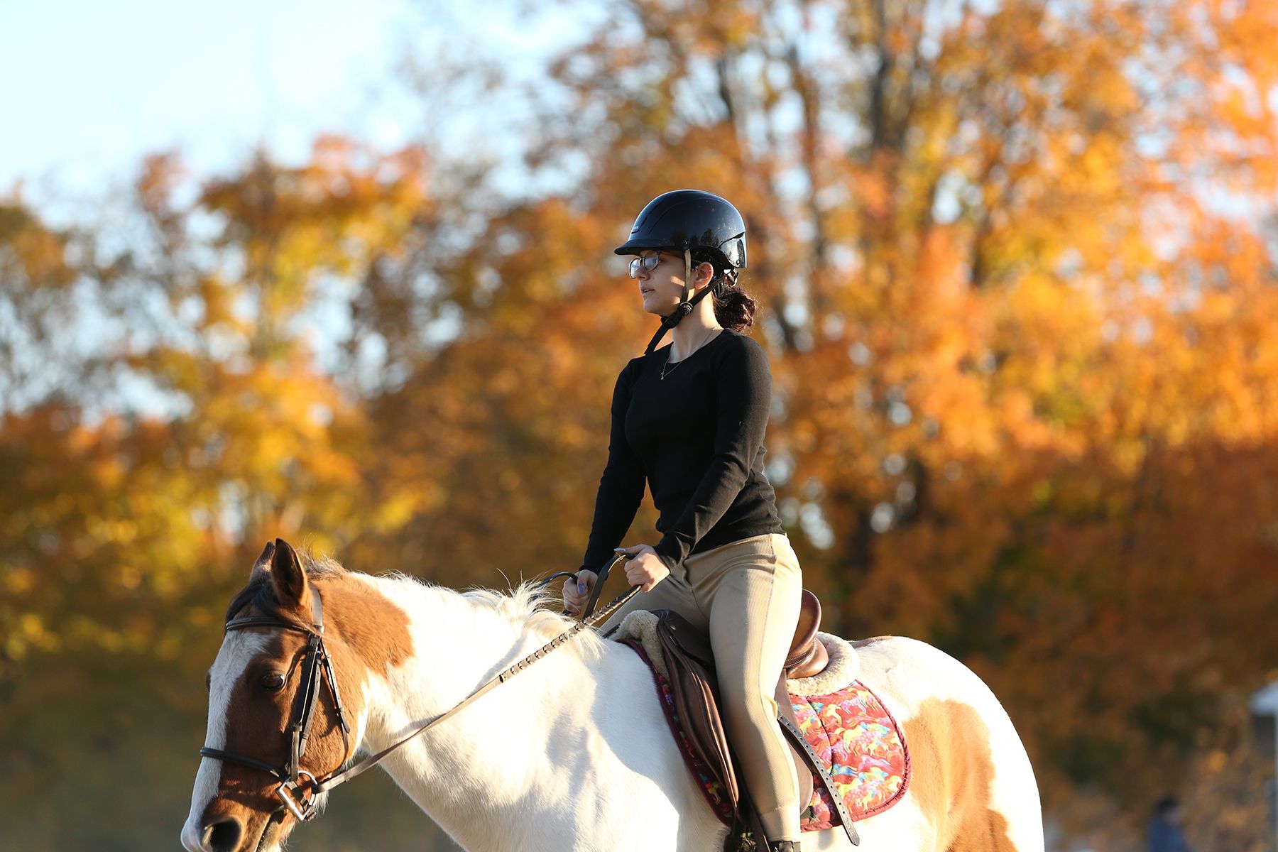 Equestrian Opportunities Abound | Miss Hall’s School