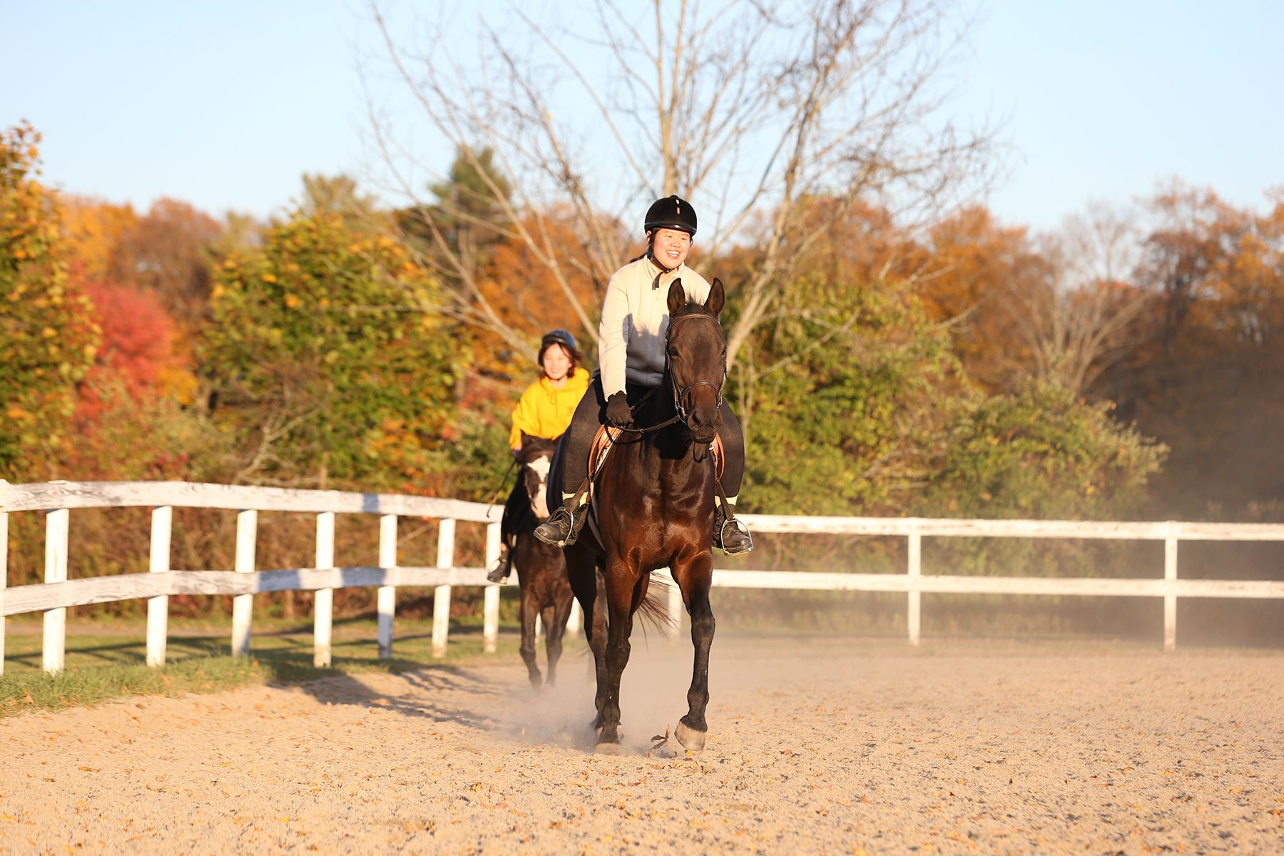 Equestrian Opportunities Abound | Miss Hall’s School