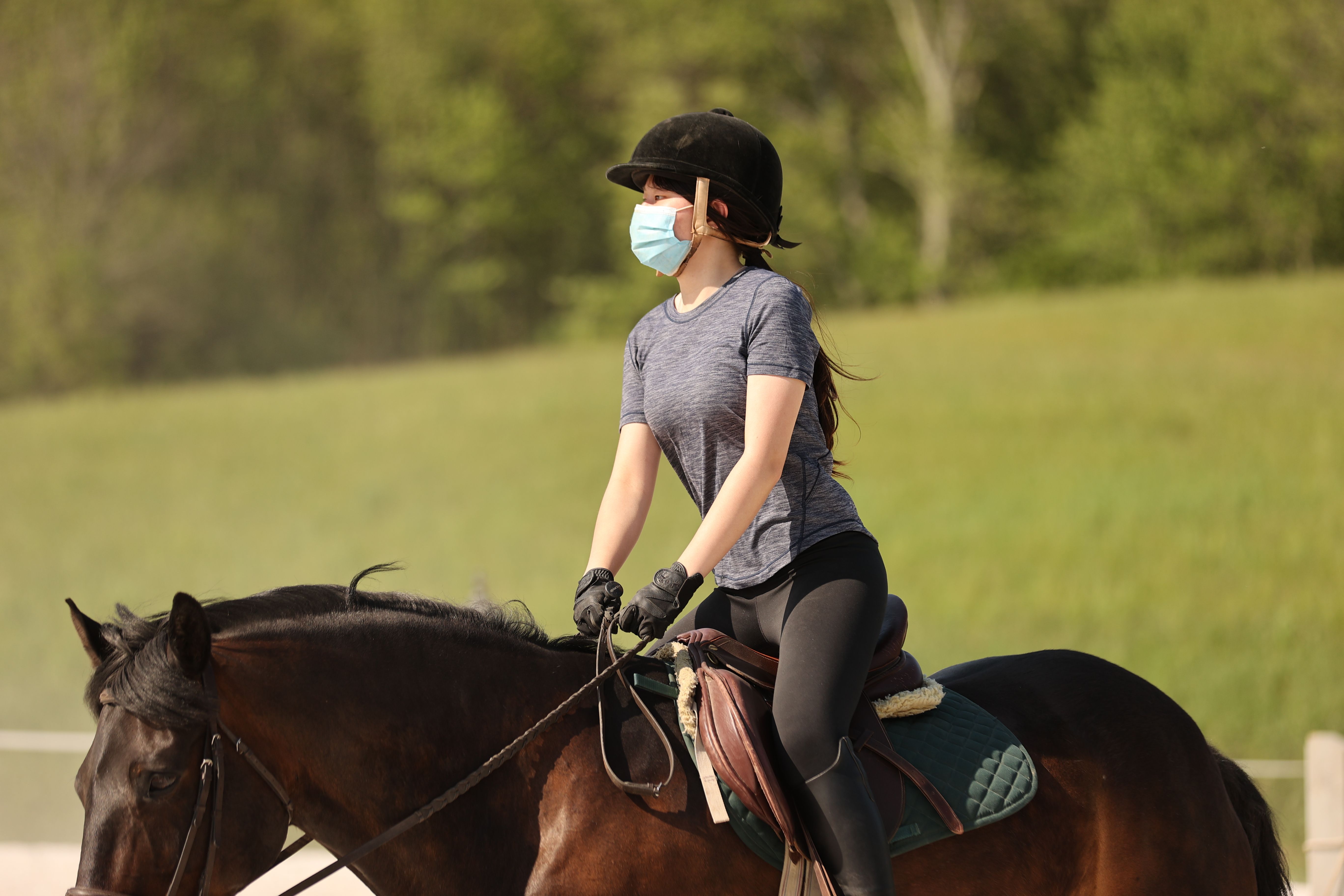 Equestrian | Miss Hall’s School