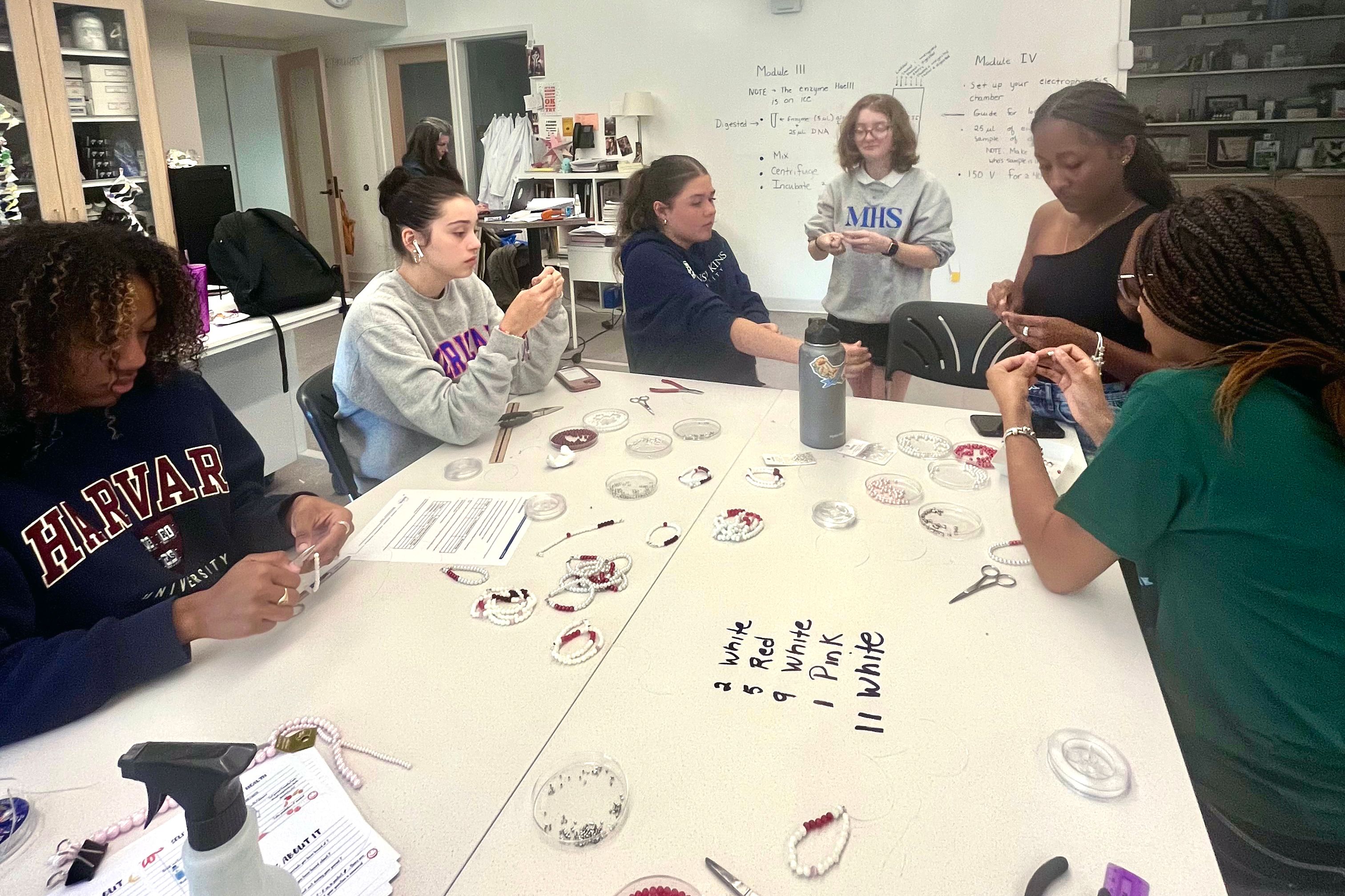 Collaborating Boldly and Creatively | Miss Hall’s School