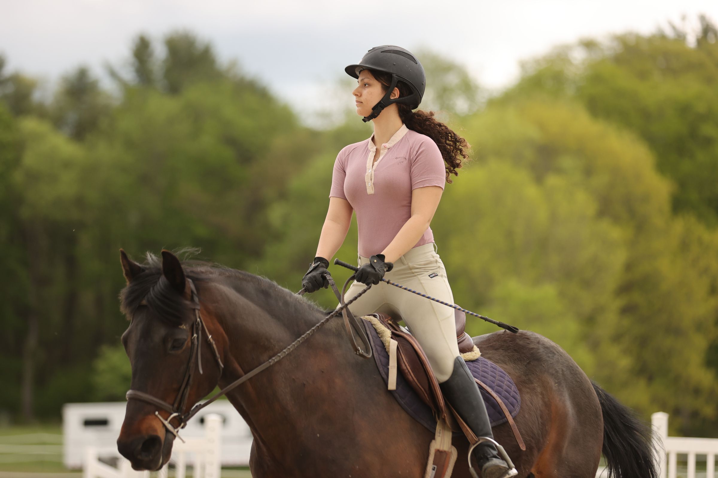 Equestrian | Miss Hall’s School