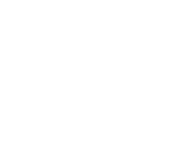 Premier Design System