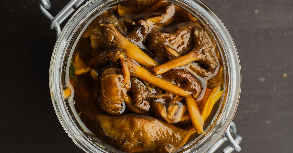 Sopp i mat | Foodsteps