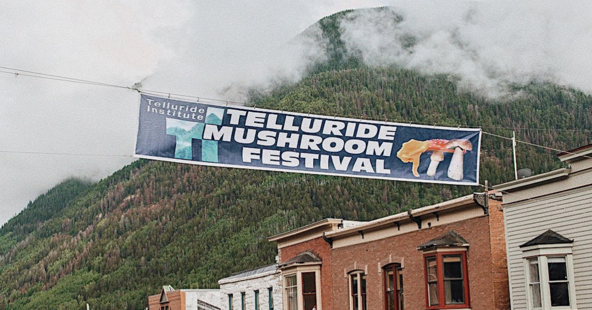 Growing Together: Telluride Mushroom Fest & Humanitix's Shared Journey ...
