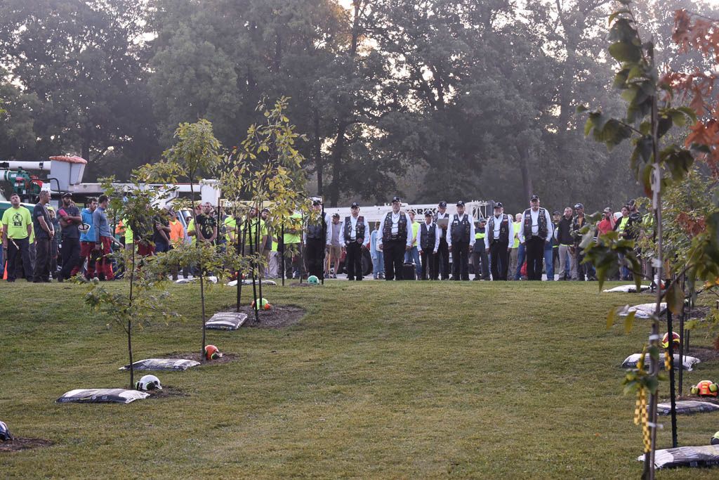 Why the IAA made the switch to Humanitix | Humanitix Blog