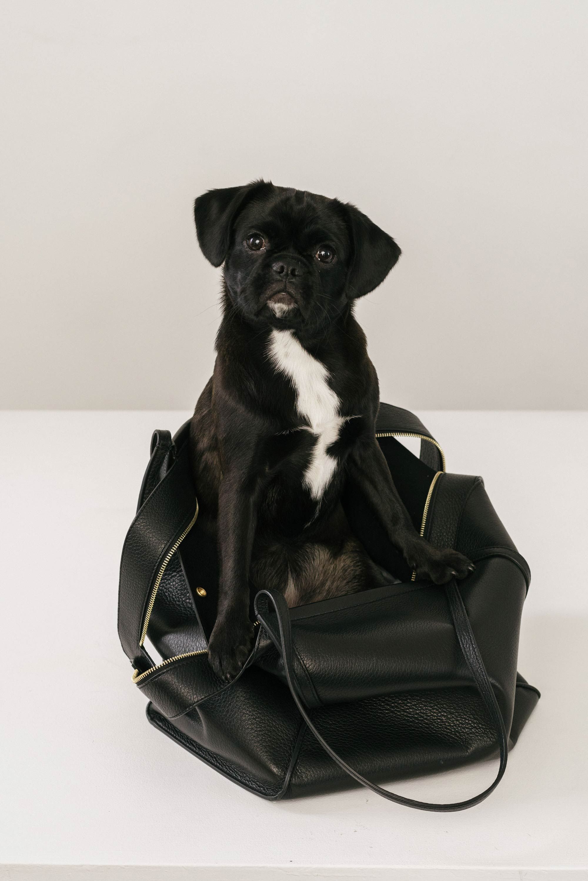 In the Bag: Sebastian Hunt | Yu Mei