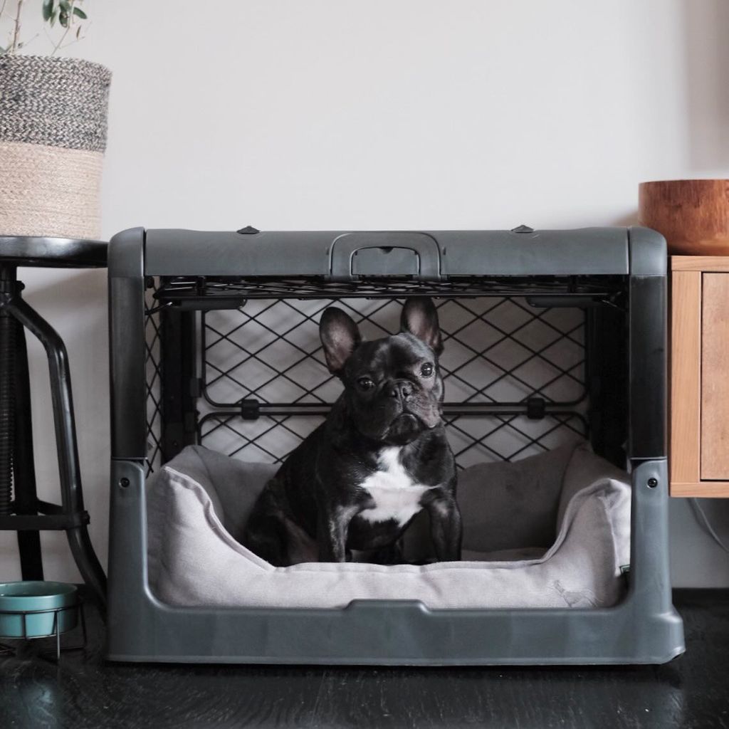 Revolutionary Dog Crates and Pet Beds - DIGGS® - Diggs