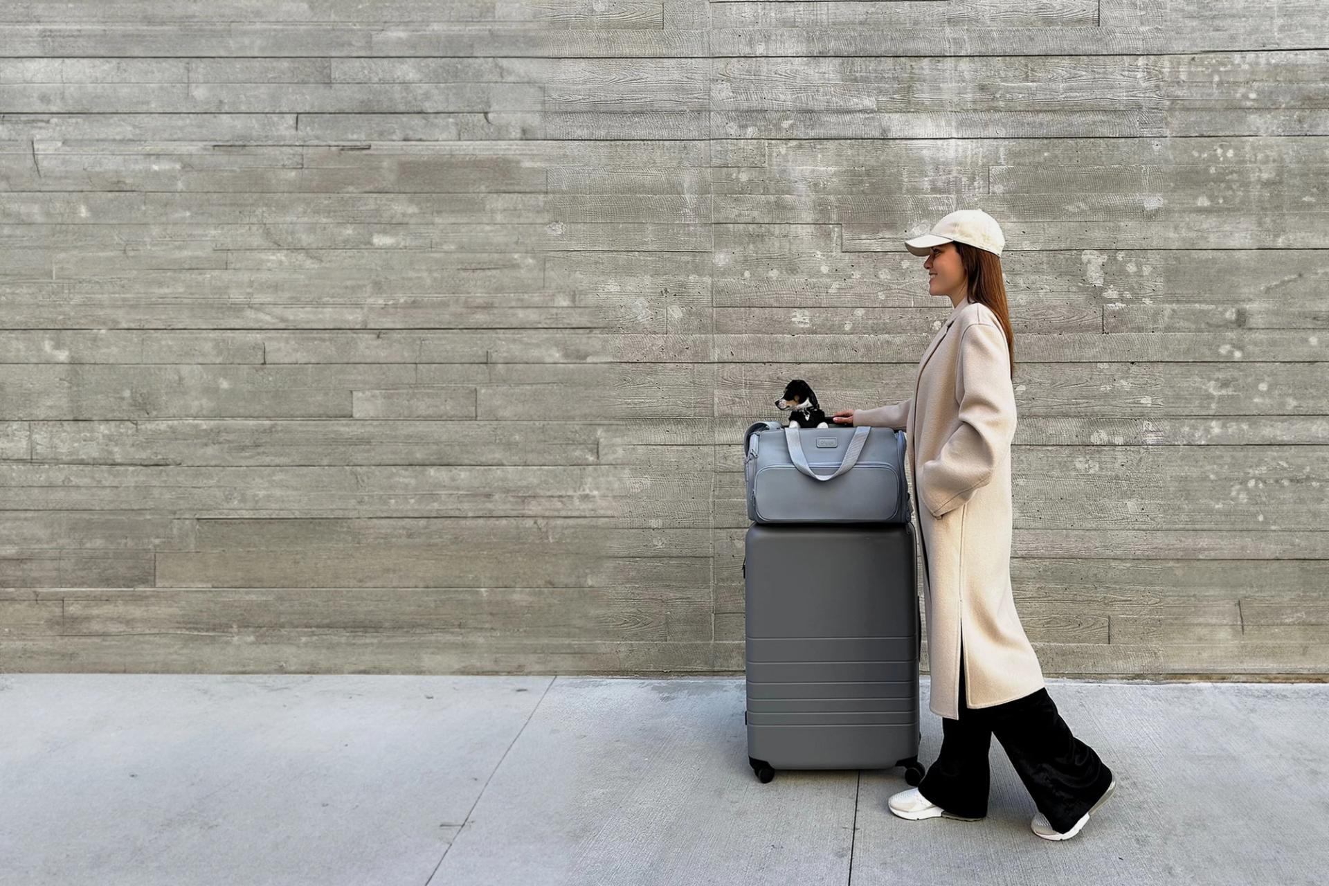 Revolutionary Dog Crates and Pet Beds - DIGGS® - Diggs