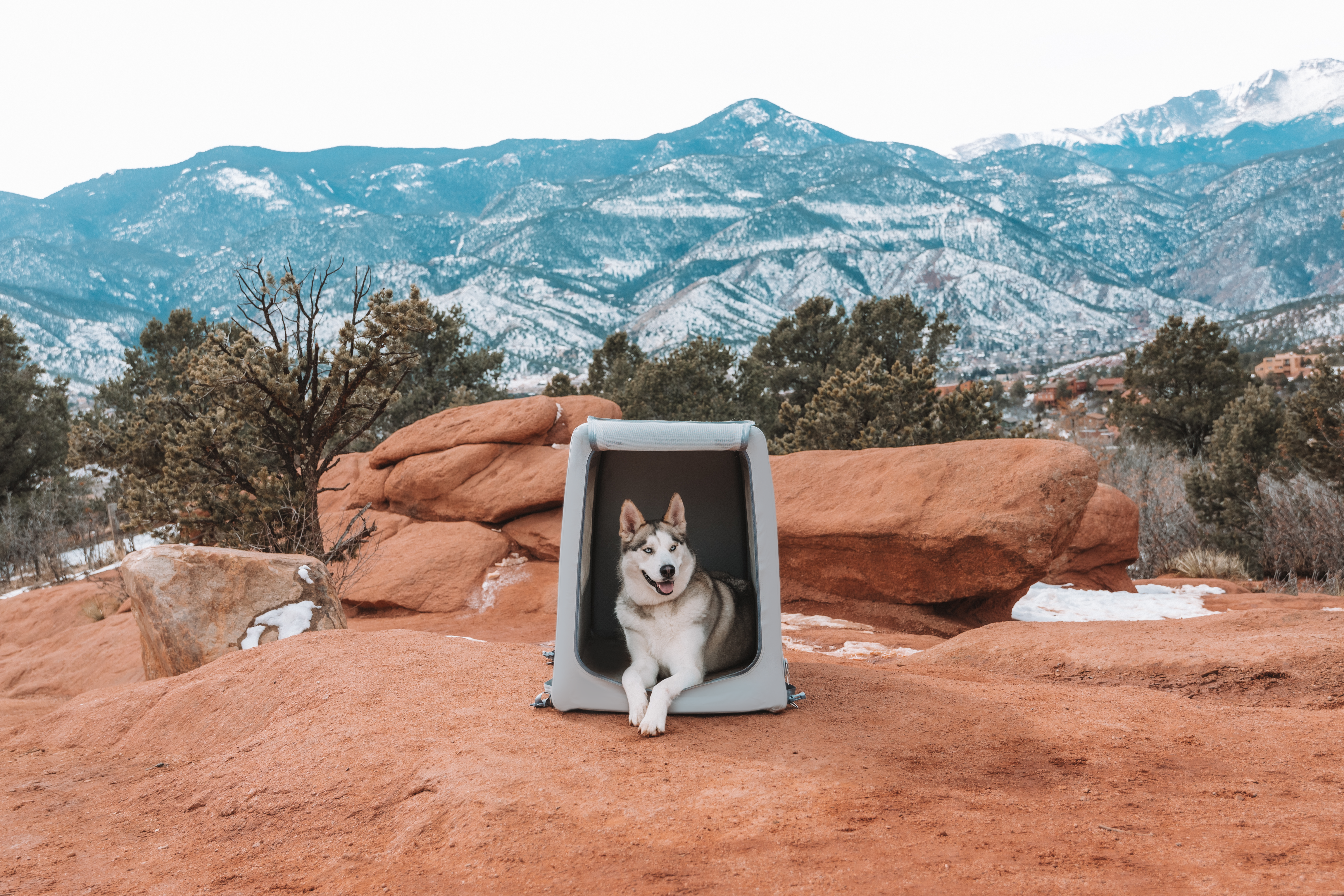 Jaula/jaula/perrera para perros | Subaru Outback Forums