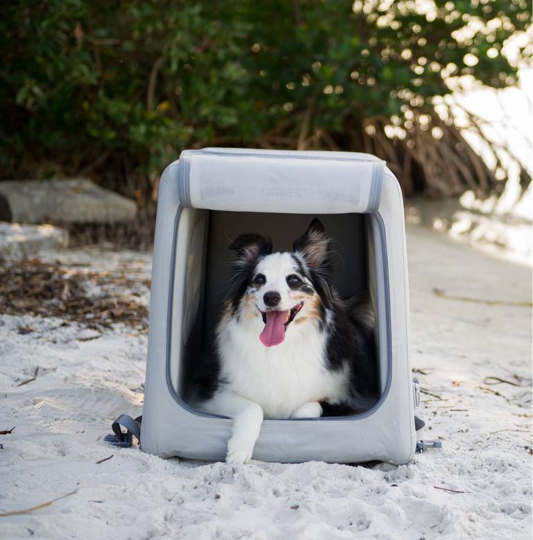 Enventur Travel Kennel - Diggs
