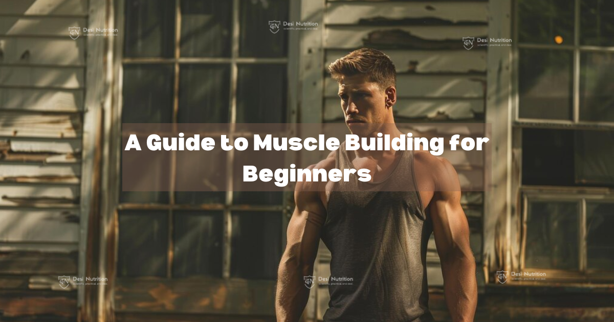 The Ultimate Guide to Build Muscles for Beginners
